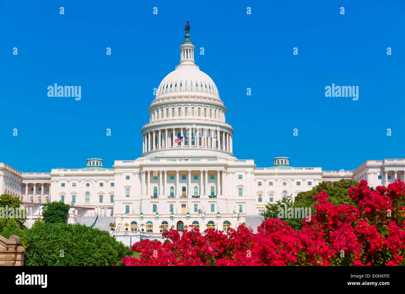 Capitol building washington dc spring flowers hi-res stock photography ...