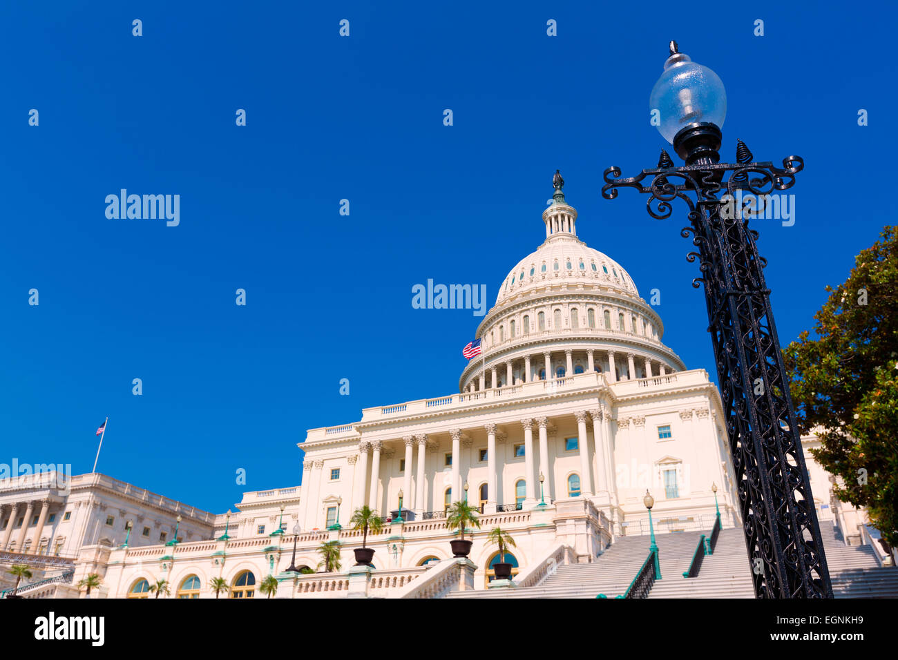 Capitol building Washington DC sunlight USA congress US Stock Photo - Alamy