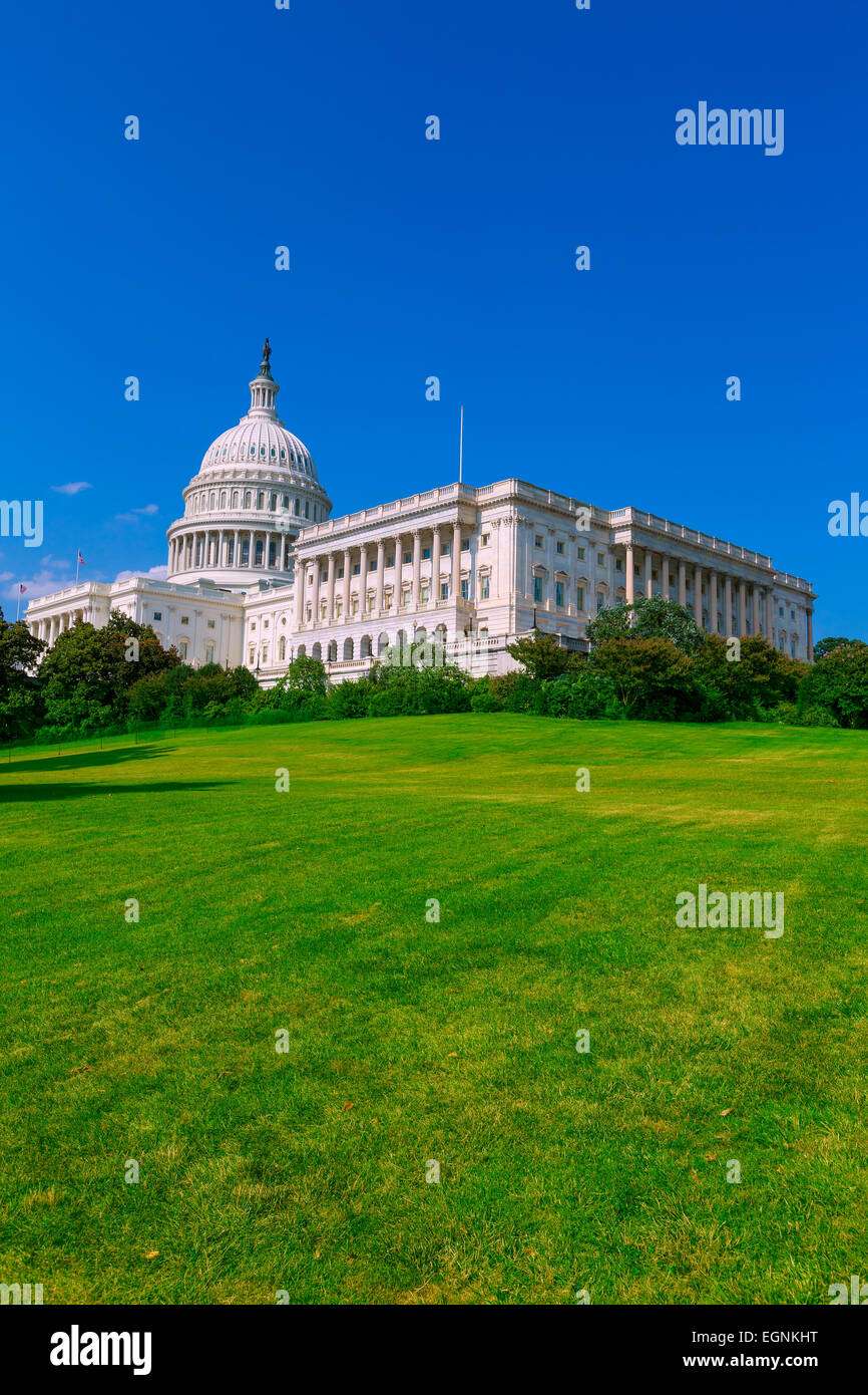 Capitol building Washington DC sunlight USA congress turf meadow US ...