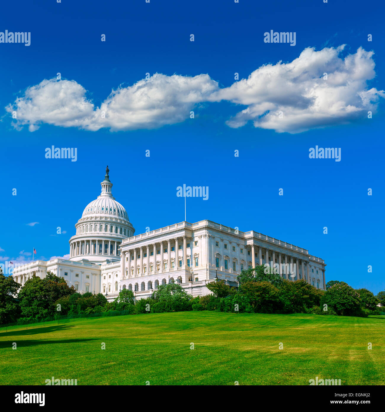 Capitol building Washington DC sunlight USA congress turf meadow US ...