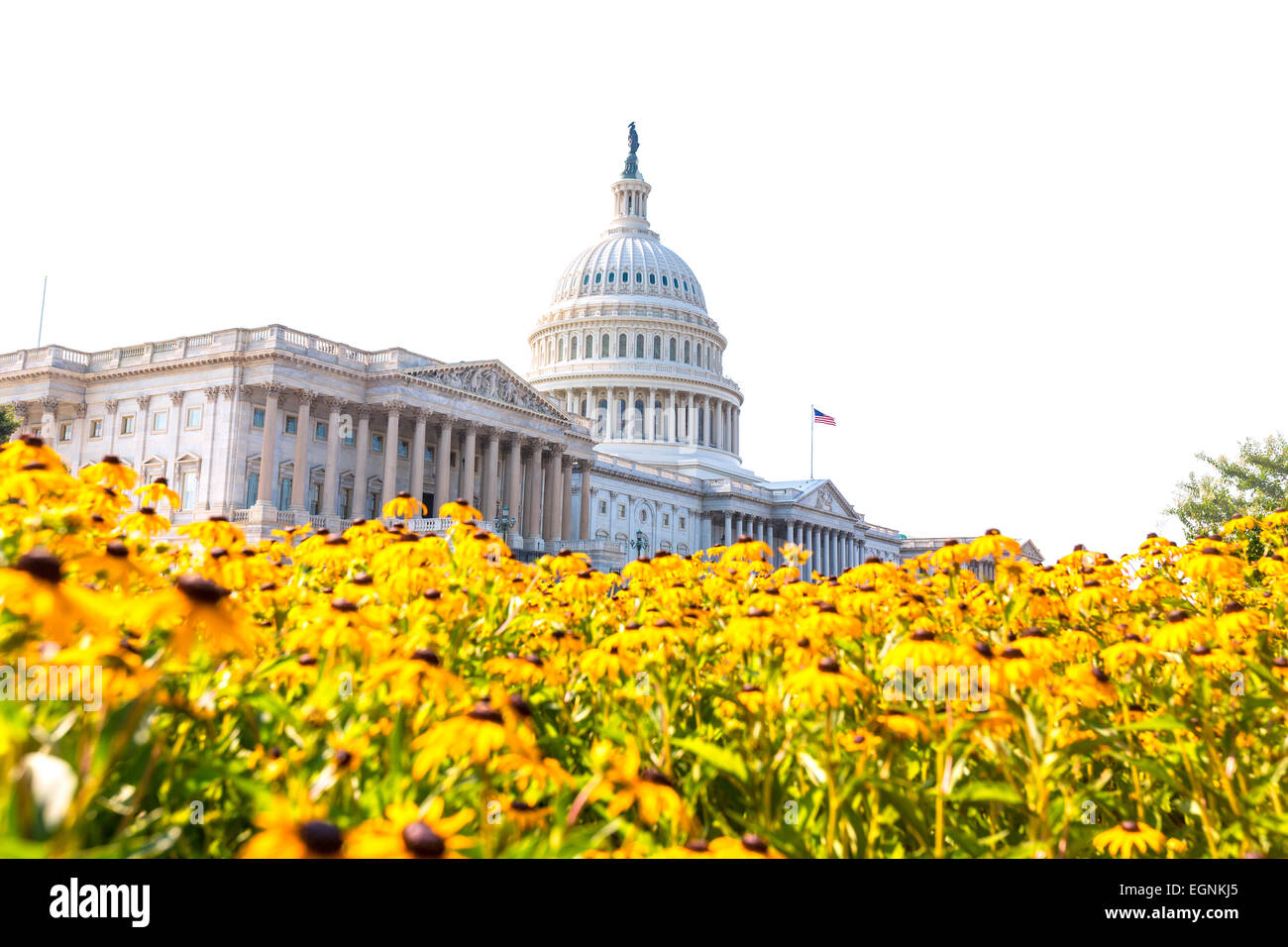 Turf capital hi-res stock photography and images - Alamy