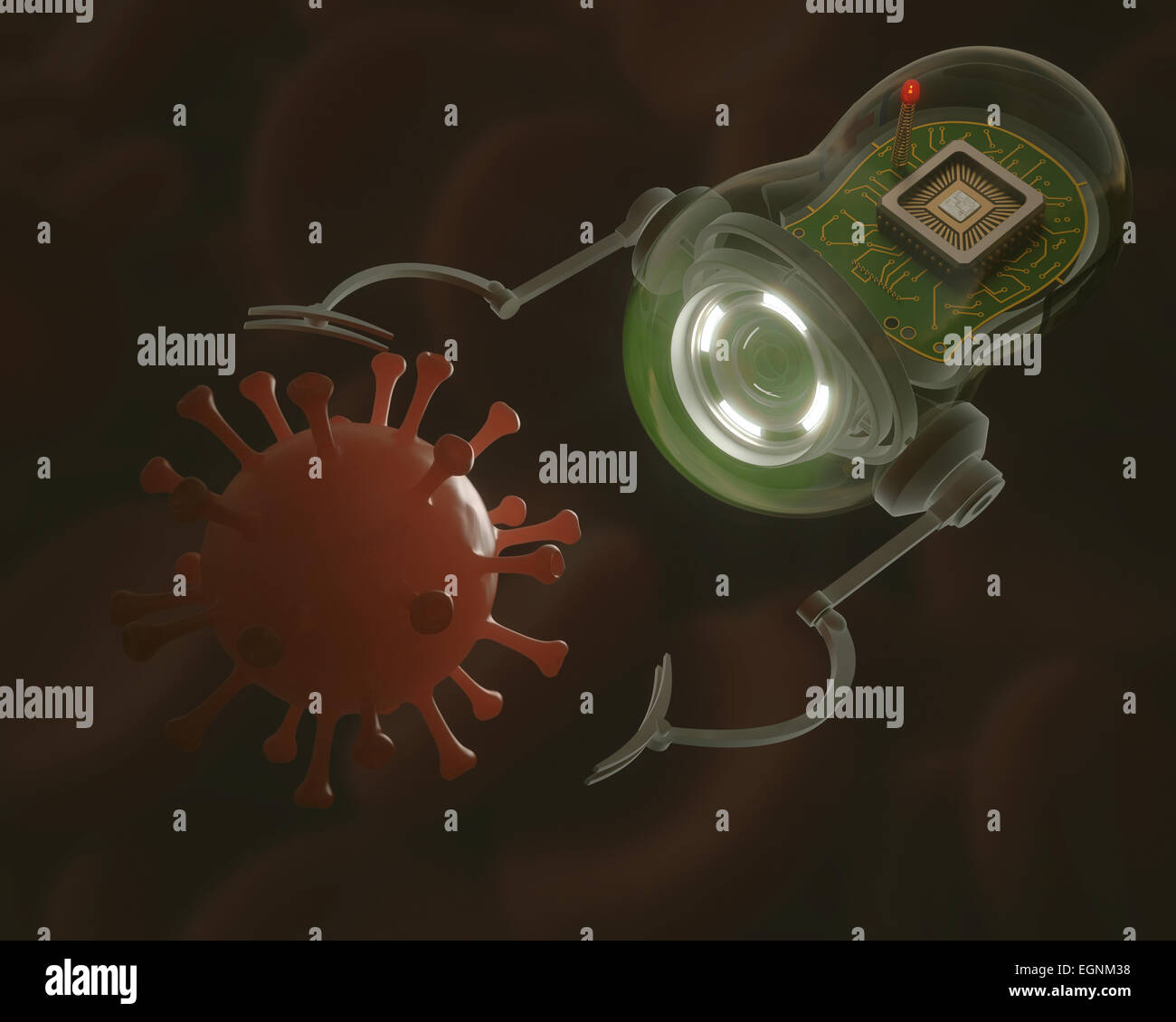Virus anatomy hi-res stock photography and images - Alamy