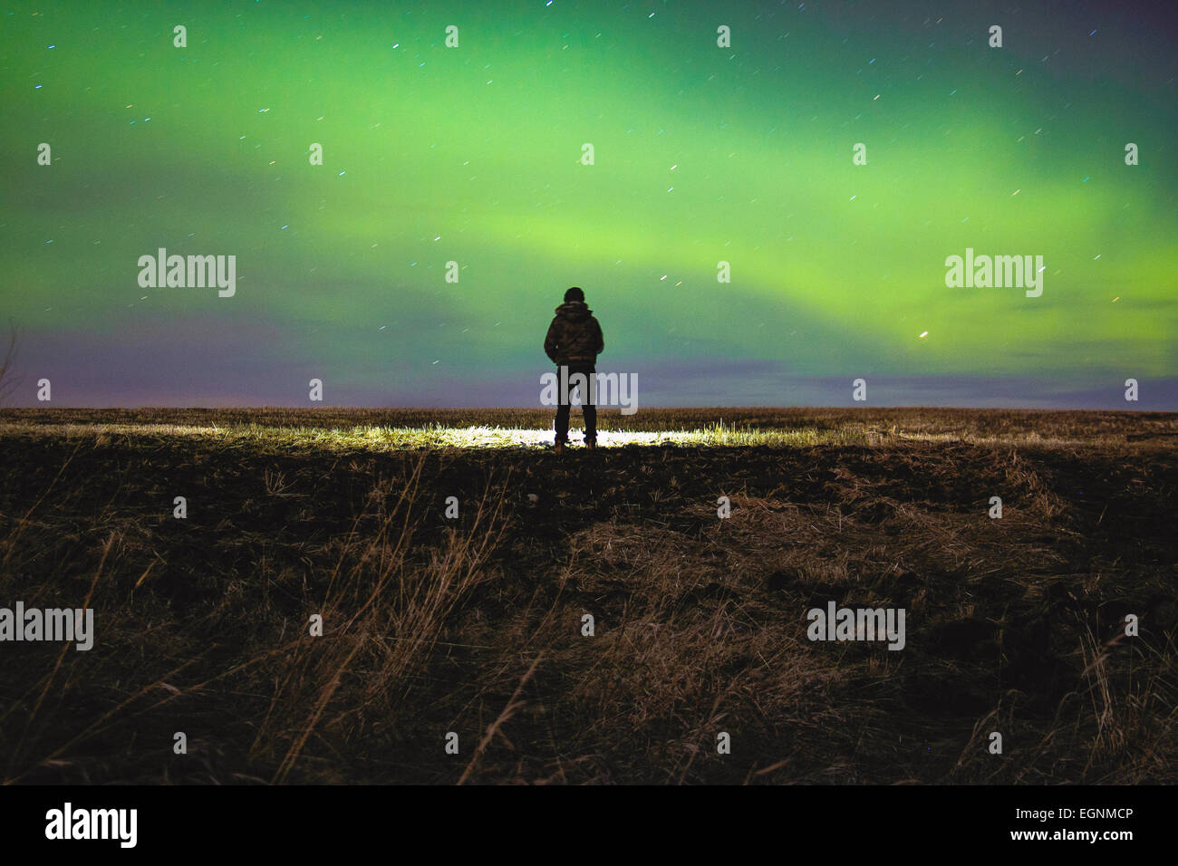 CALGARY, ALBERTA/CANADA - 24th Tuesday February 2015 - Northern lights ...