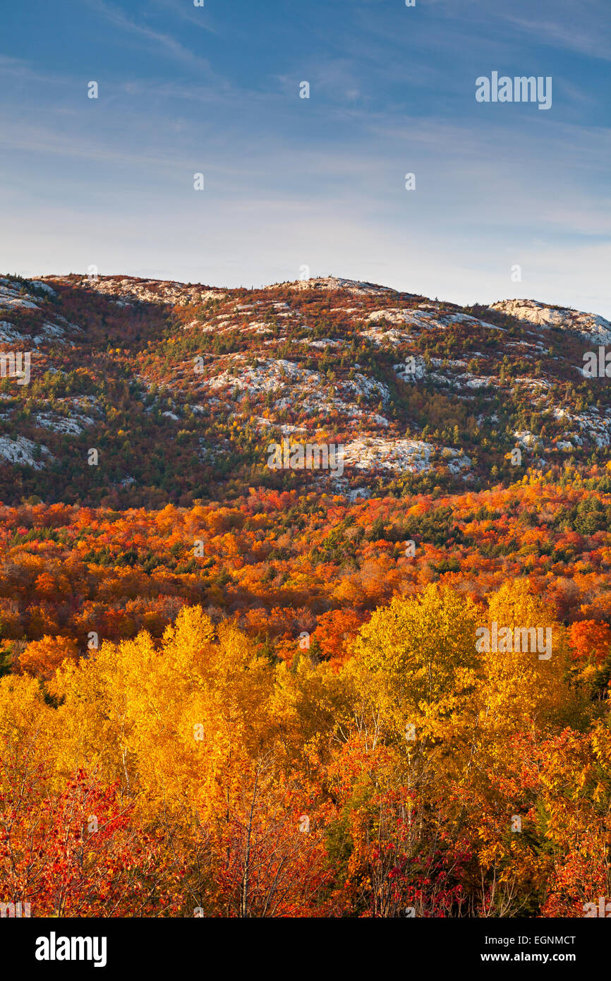 Spectacular fall colours with a White Quartzite mountain in the ...