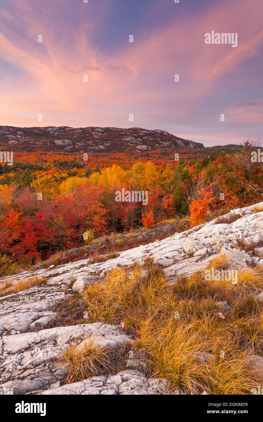 Spectacular fall colours with grass covered white quartzite in the ...