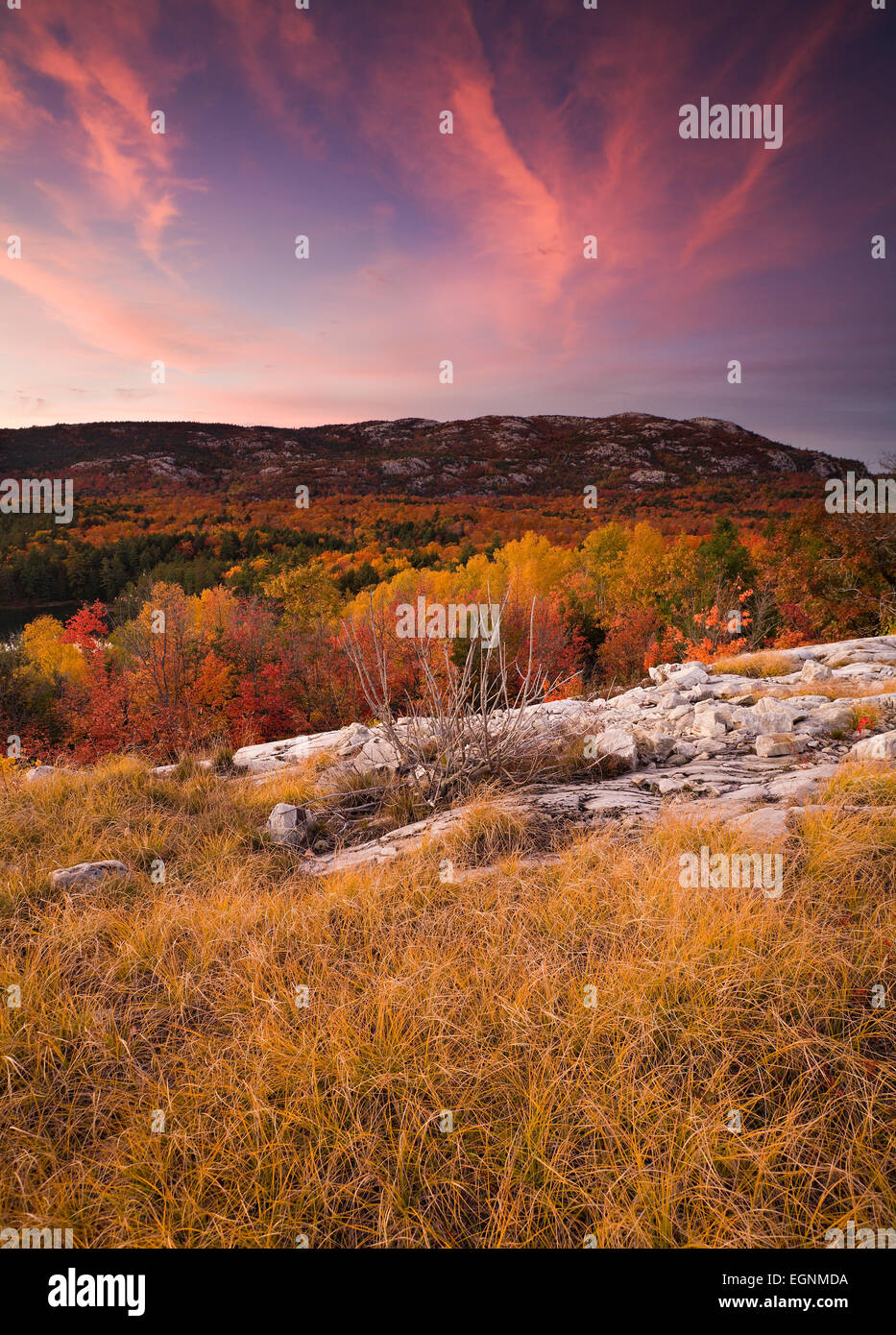 Spectacular fall colours with grass covered white quartzite in the ...