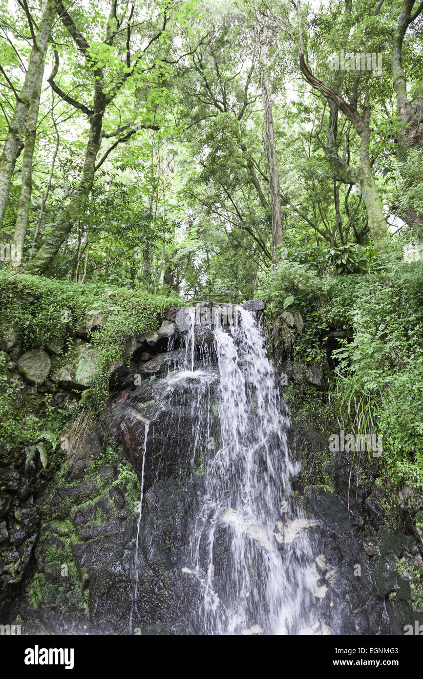 Detail of a natural waterfall hi-res stock photography and images - Alamy