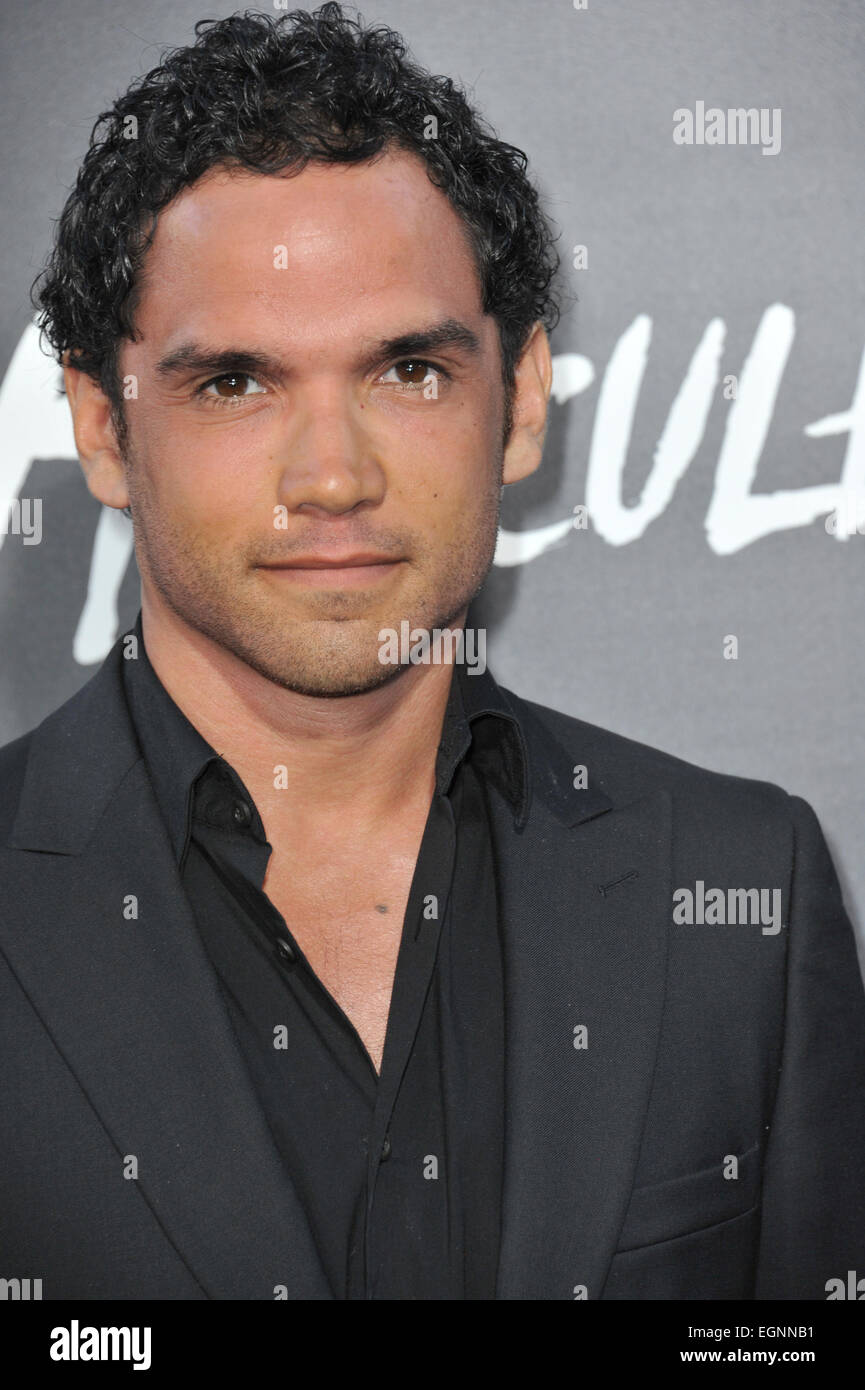 LOS ANGELES, CA - JULY 23, 2014: Reece Ritchie at the premiere of his ...