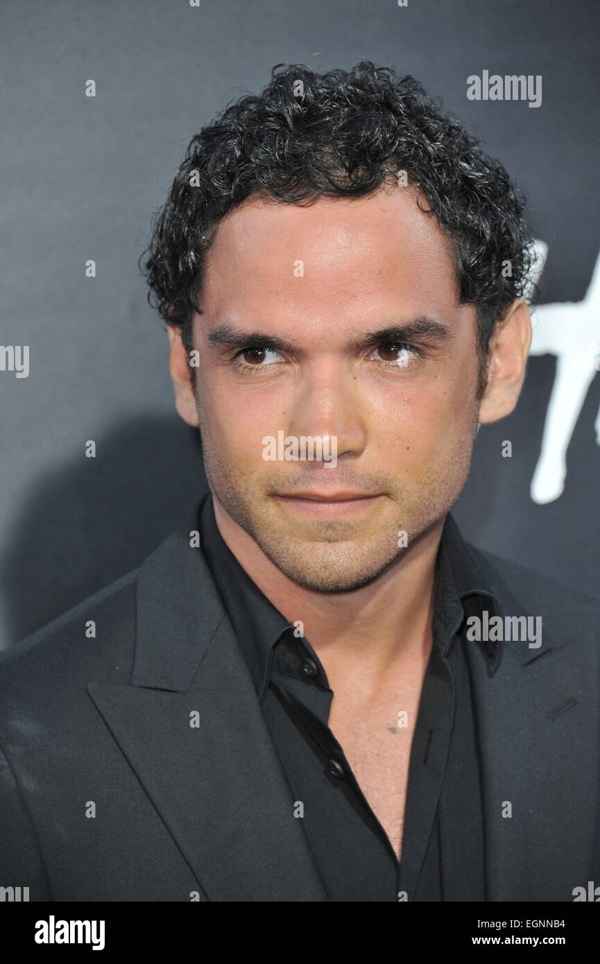 LOS ANGELES, CA - JULY 23, 2014: Reece Ritchie at the premiere of his ...