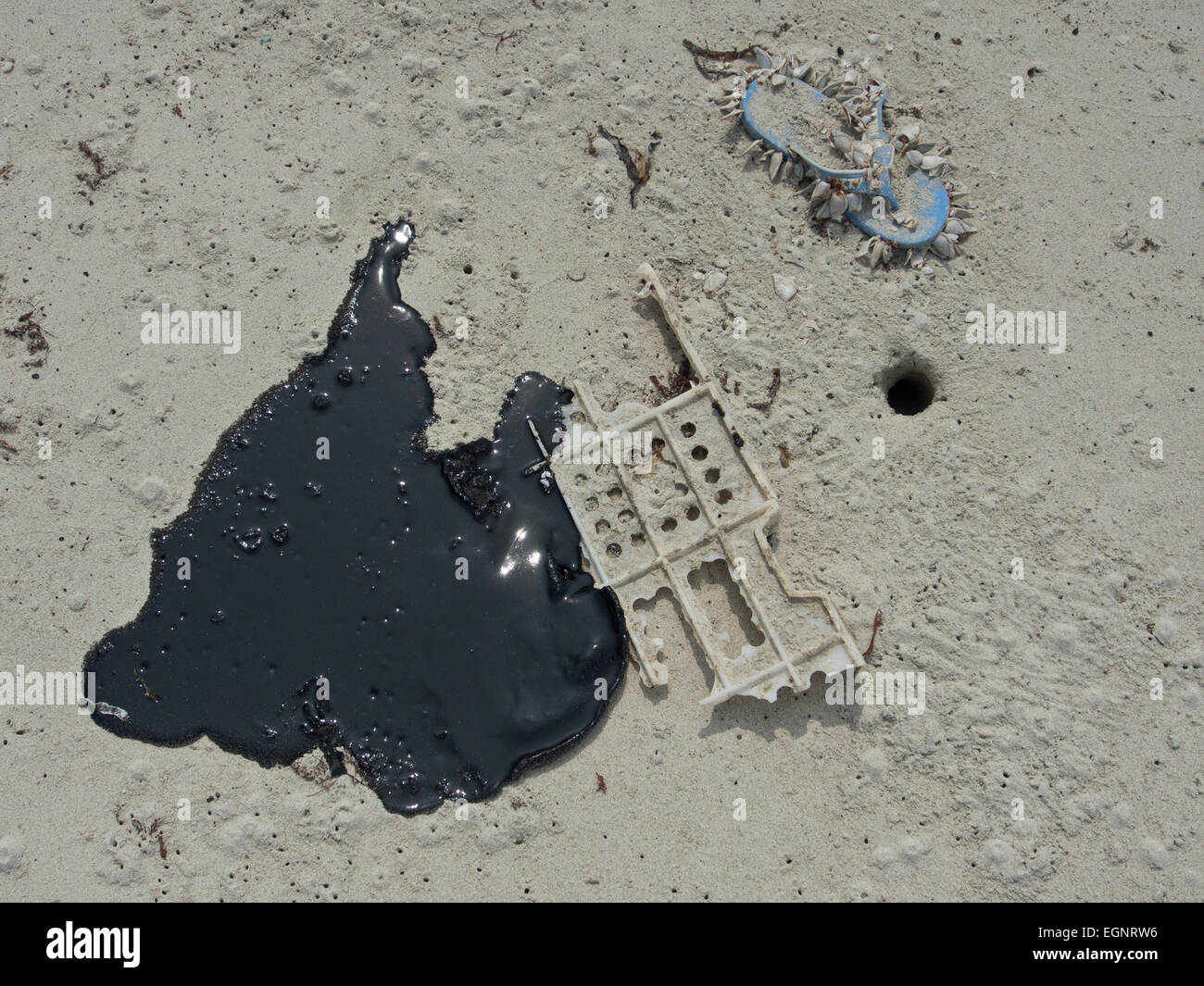 Tar pollution on beach due to oil spillages from shipping in Bintan ...