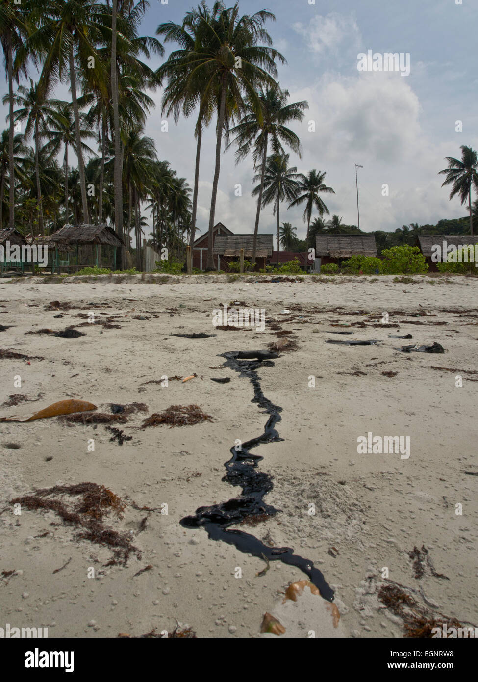 Tar pollution on beach due to oil spillages from shipping in Bintan ...