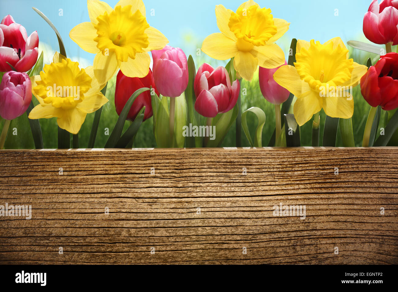 Garden board hi-res stock photography and images - Alamy