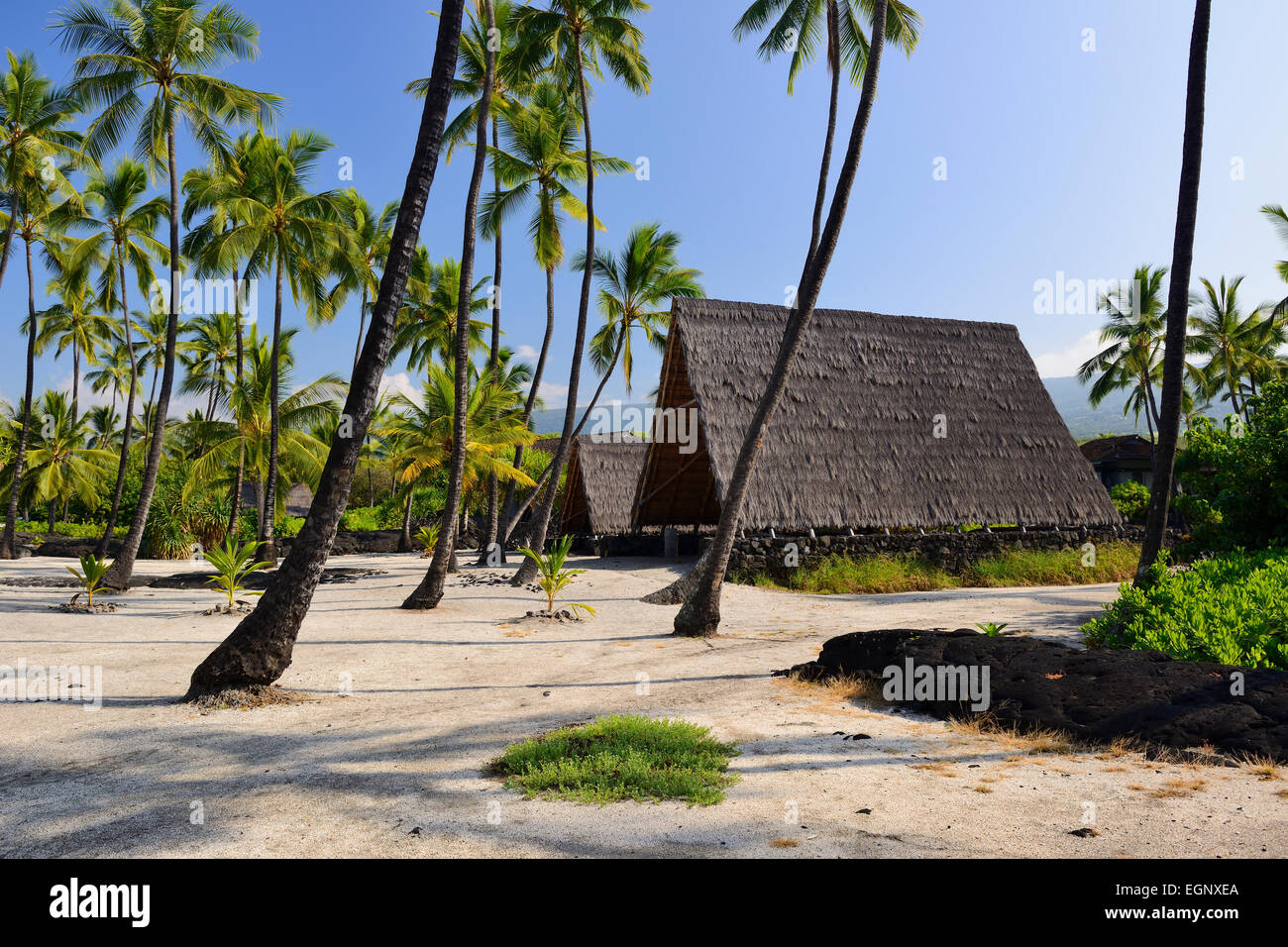 Halau thatched a frame structure hi-res stock photography and images ...