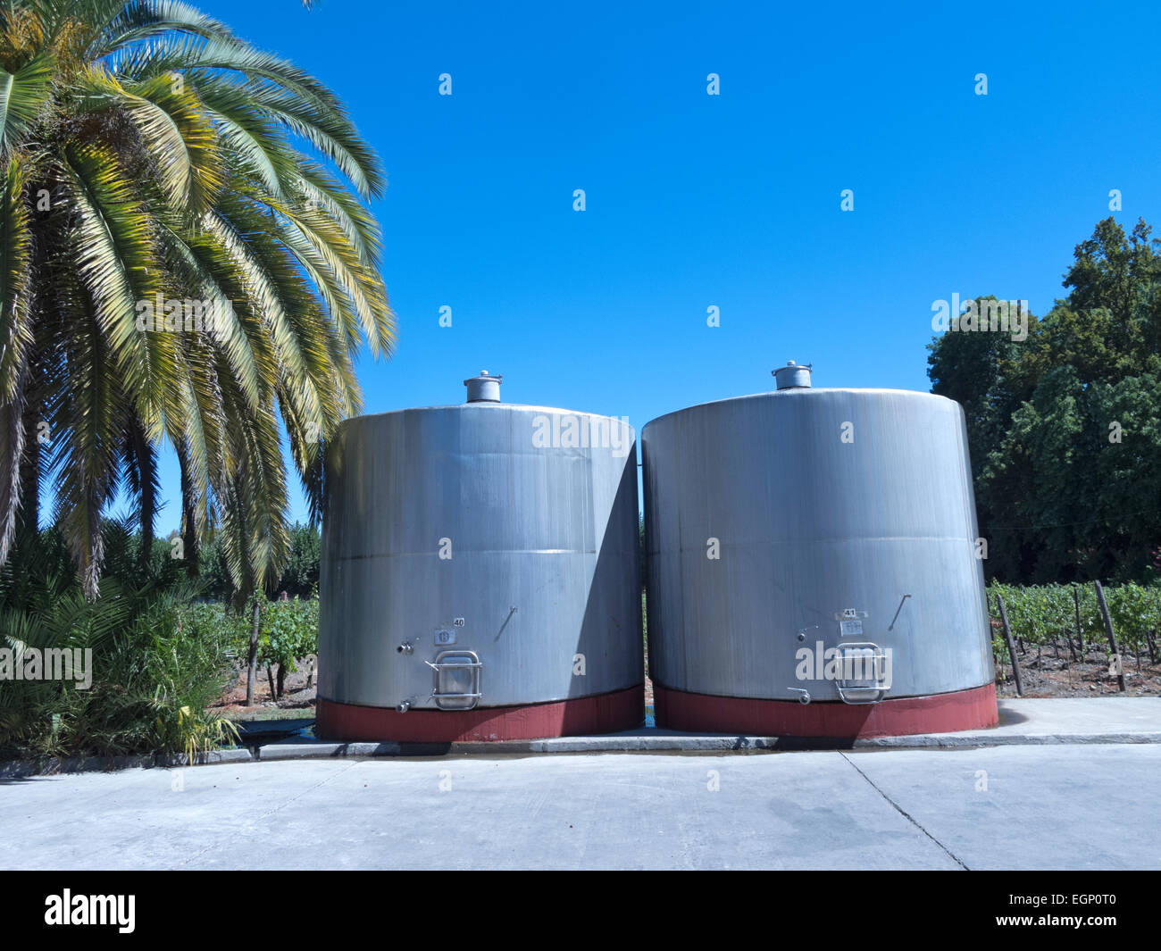 Argentina sauvignon healthy cabernet hi-res stock photography and ...