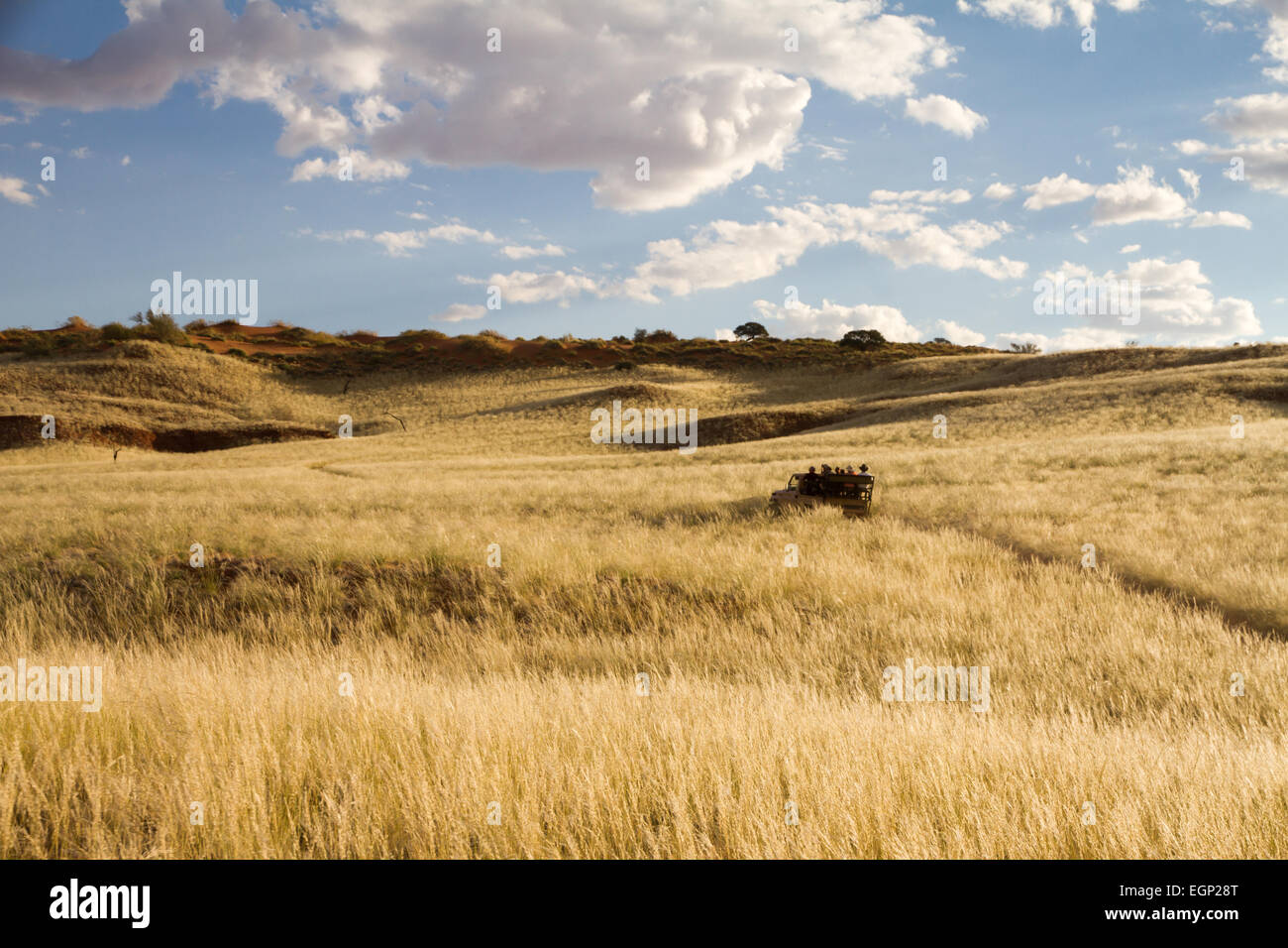 Safari with an off-road car in Namibia Stock Photo - Alamy
