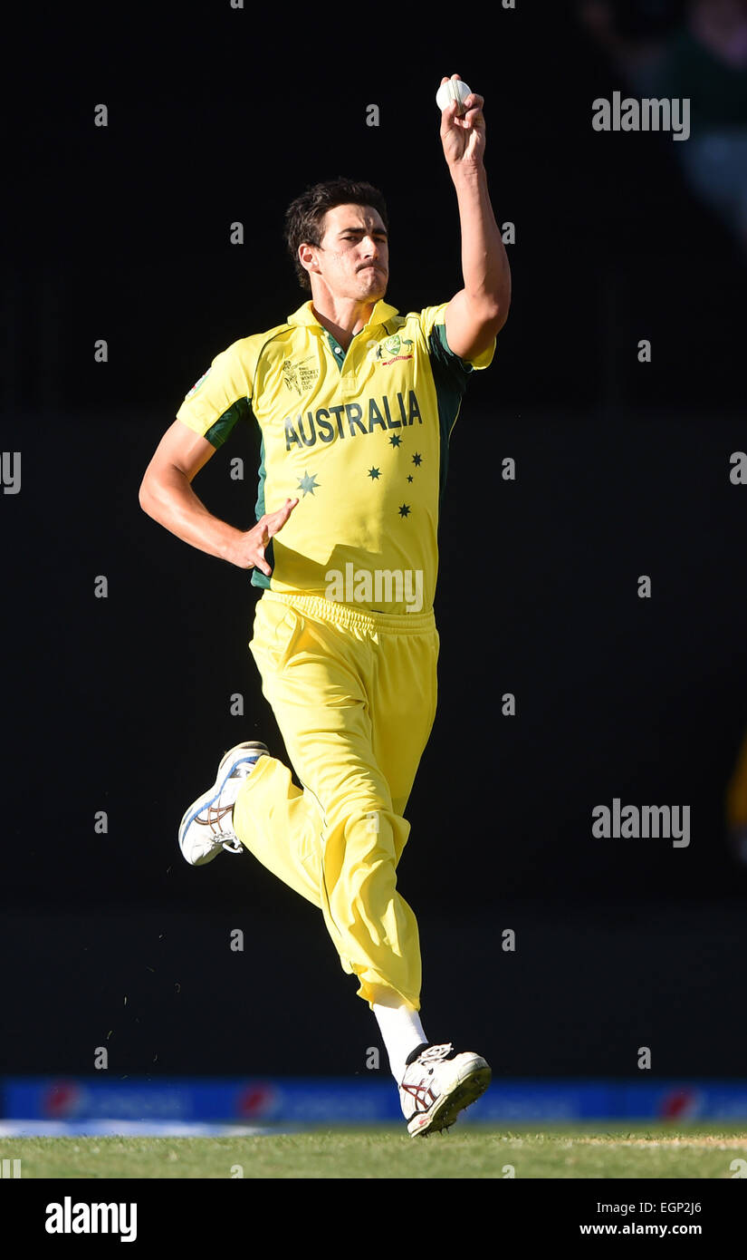 Starc bowling hi-res stock photography and images - Alamy
