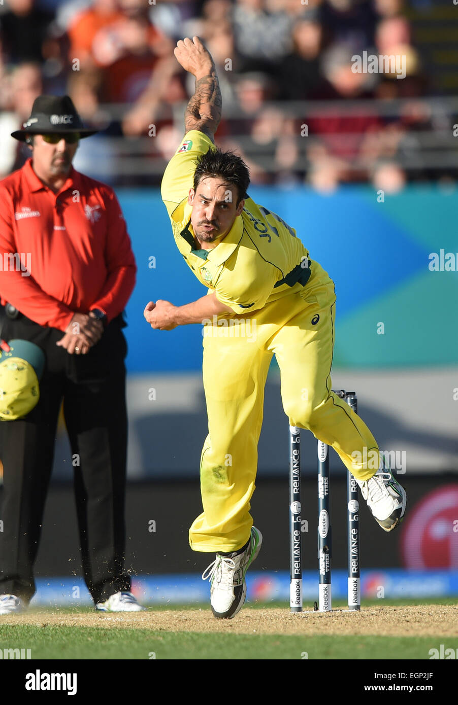 Michelle Johnson Cricket