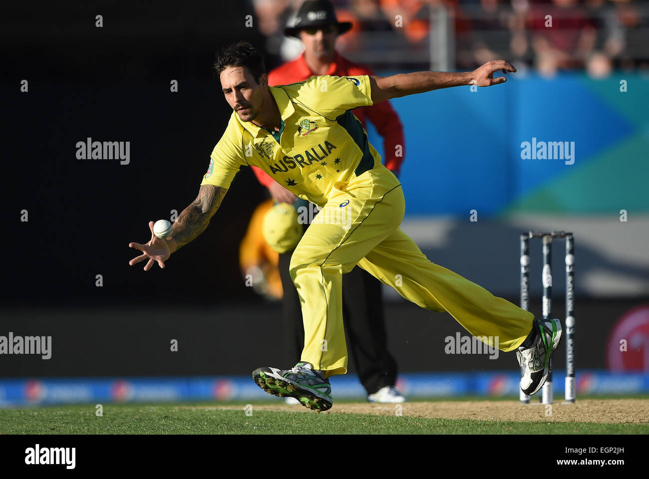Fielding johnson hi-res stock photography and images - Alamy
