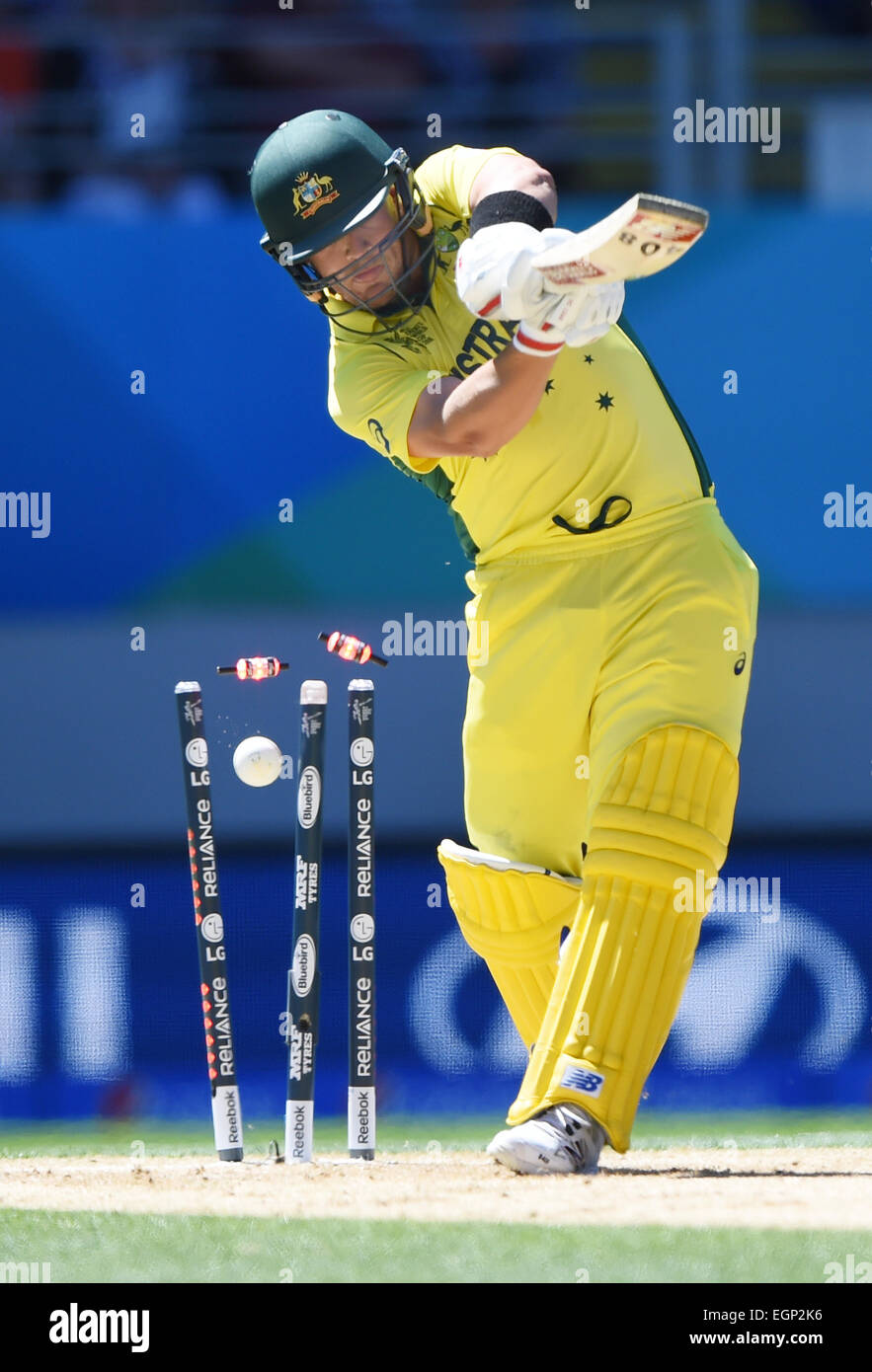 Cricket odi australia new zealand hi-res stock photography and images ...