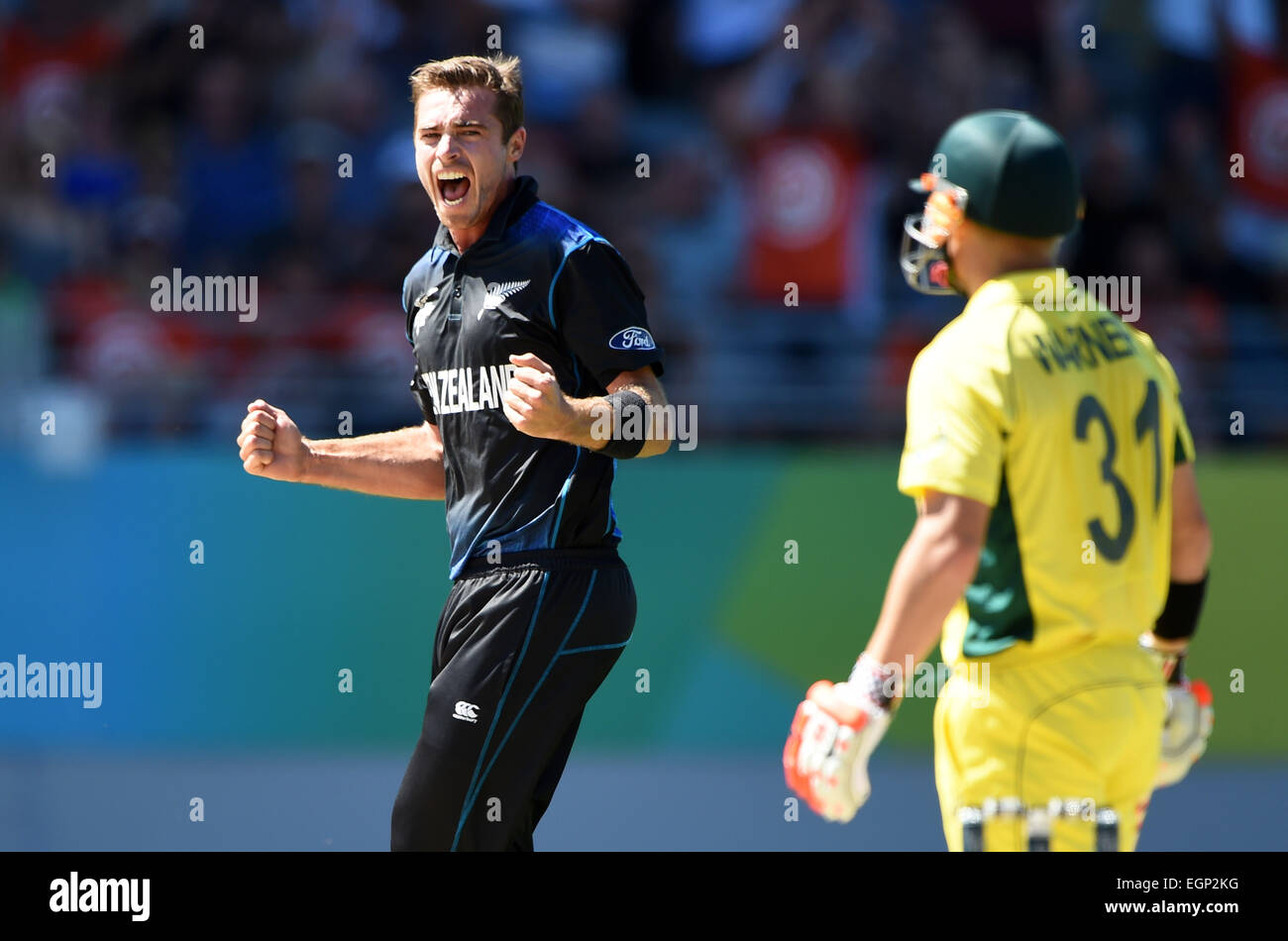 Cricket odi australia new zealand hi-res stock photography and images ...