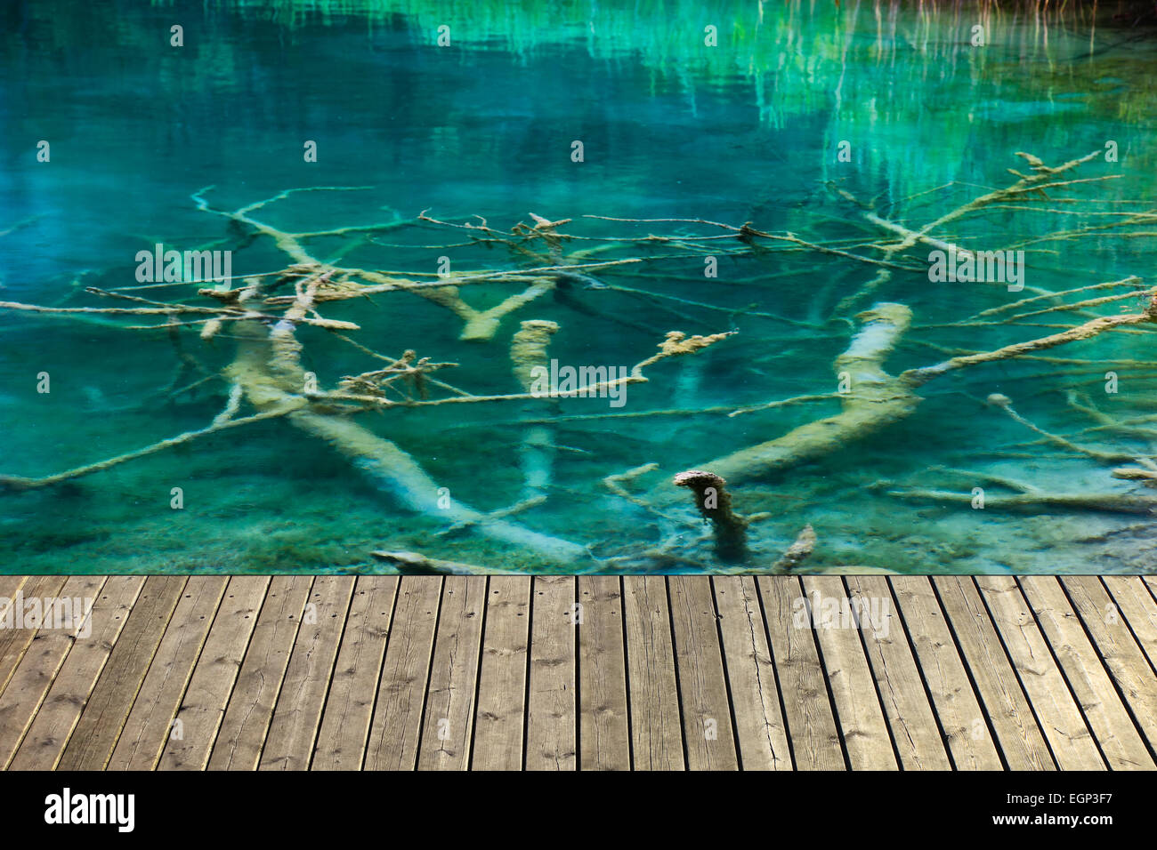 Sunken tree hi-res stock photography and images - Alamy