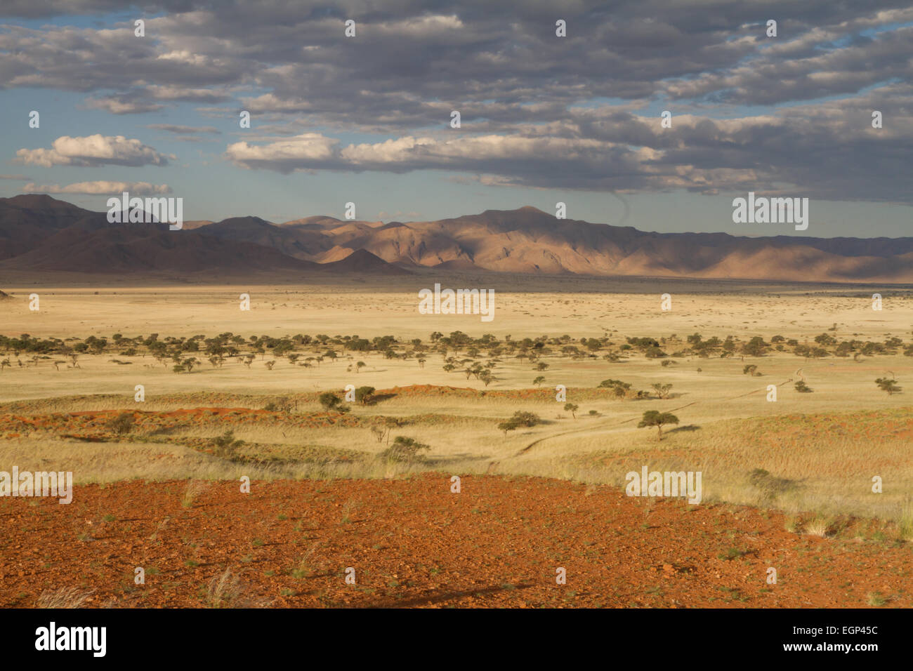 Scenic landscape of the Sossusvlei park, Namibia Stock Photo - Alamy