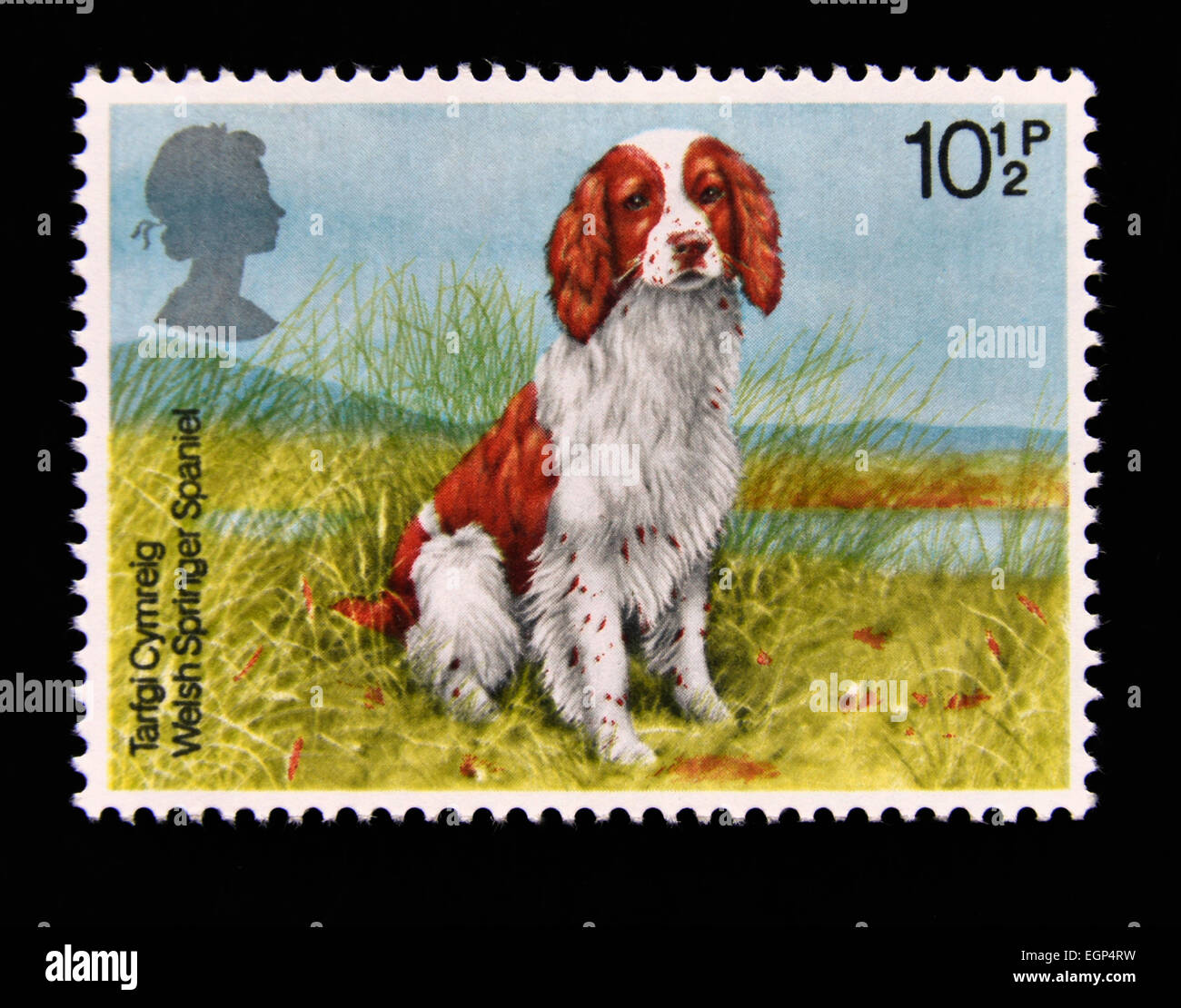 Postage stamp. Great Britain. Queen Elizabeth II. 1979. Dogs. Tarfgi ...
