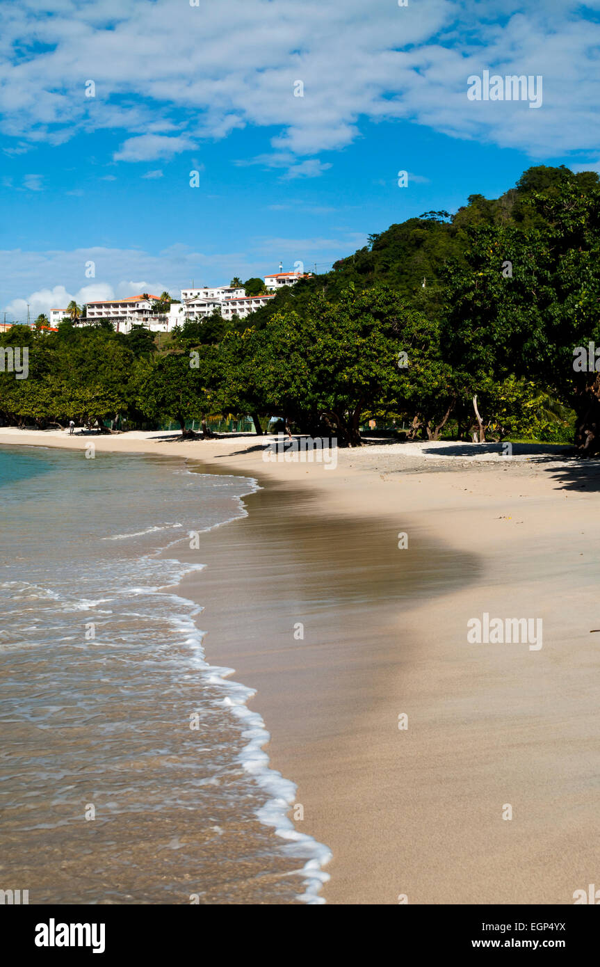 Morne rouge beach grenada hi-res stock photography and images - Alamy