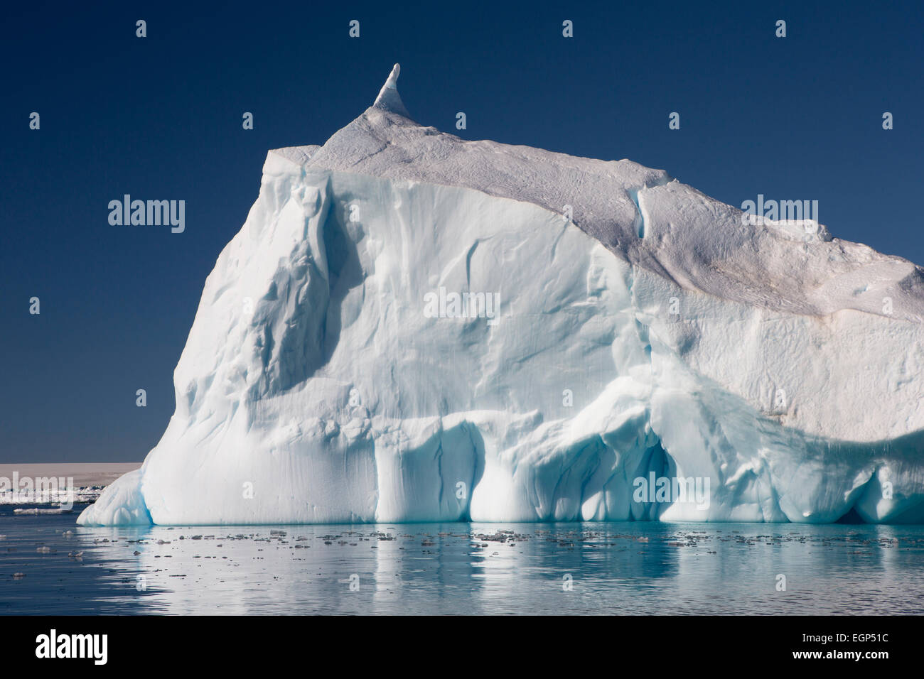 Antarctica, Weddell Sea, large iceberg with red algae Stock Photo - Alamy
