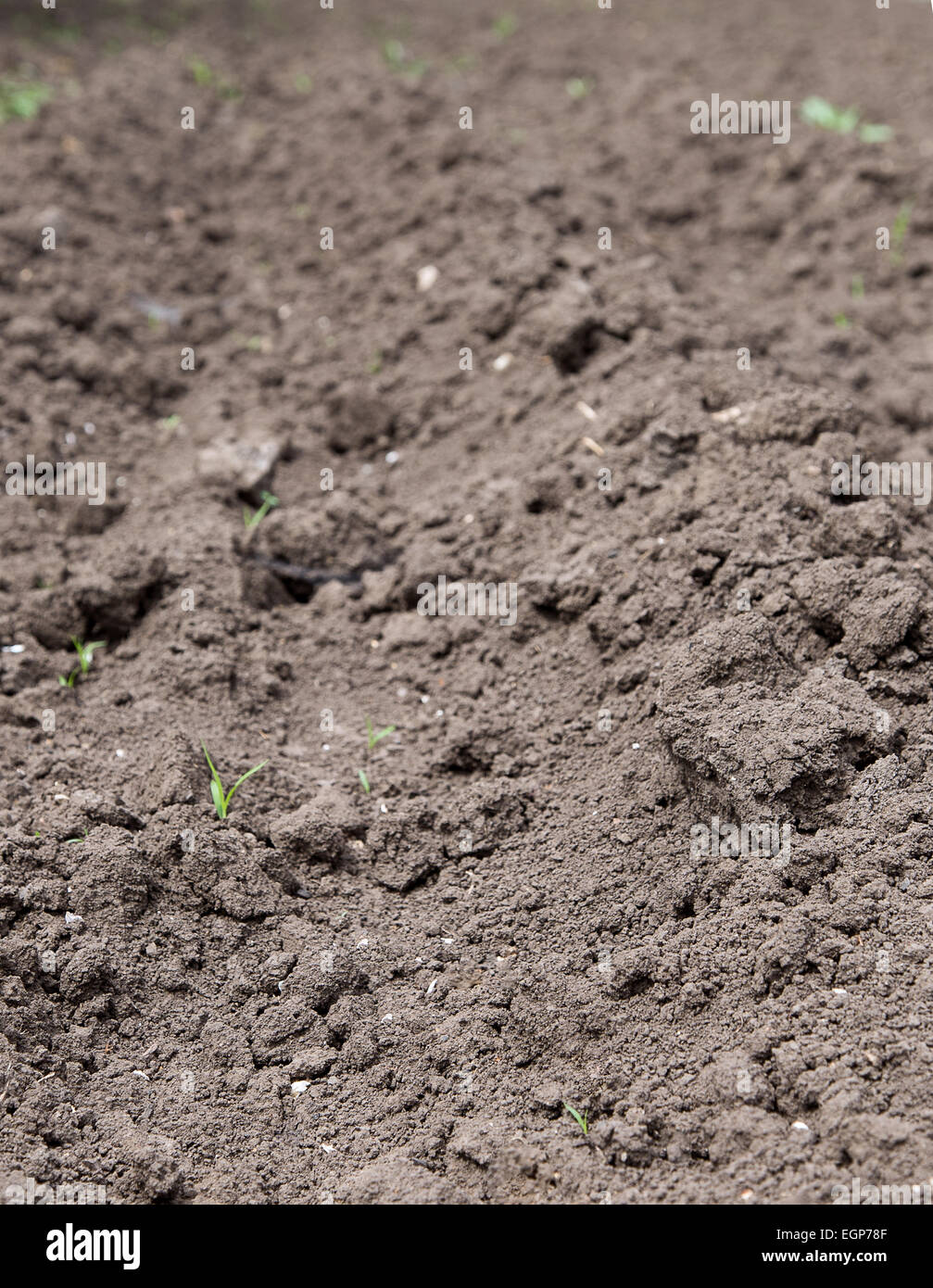 soil, ground black close up Stock Photo - Alamy