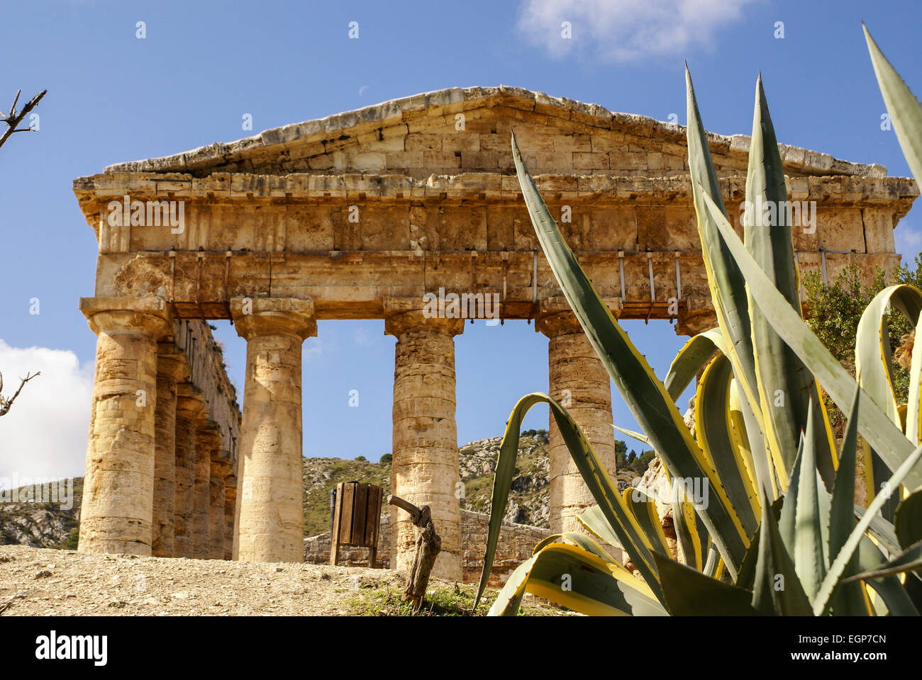 greek temple in the ancient city of Segesta, Sicily Stock Photo - Alamy