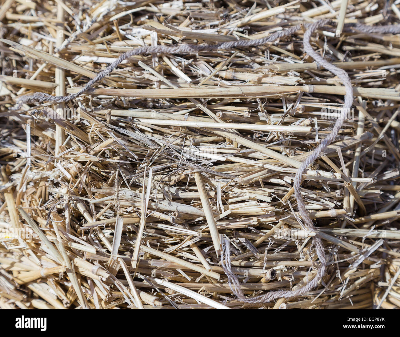 Straw dry background image hi-res stock photography and images - Alamy