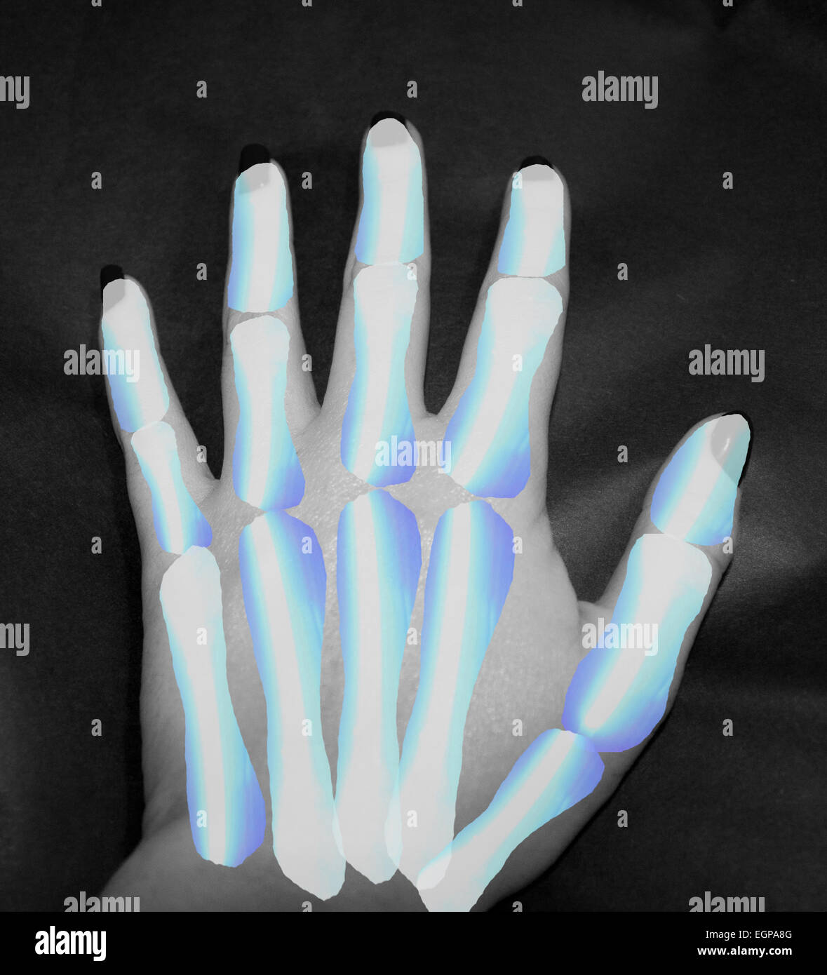 Human skeleton bones blue hi-res stock photography and images - Alamy