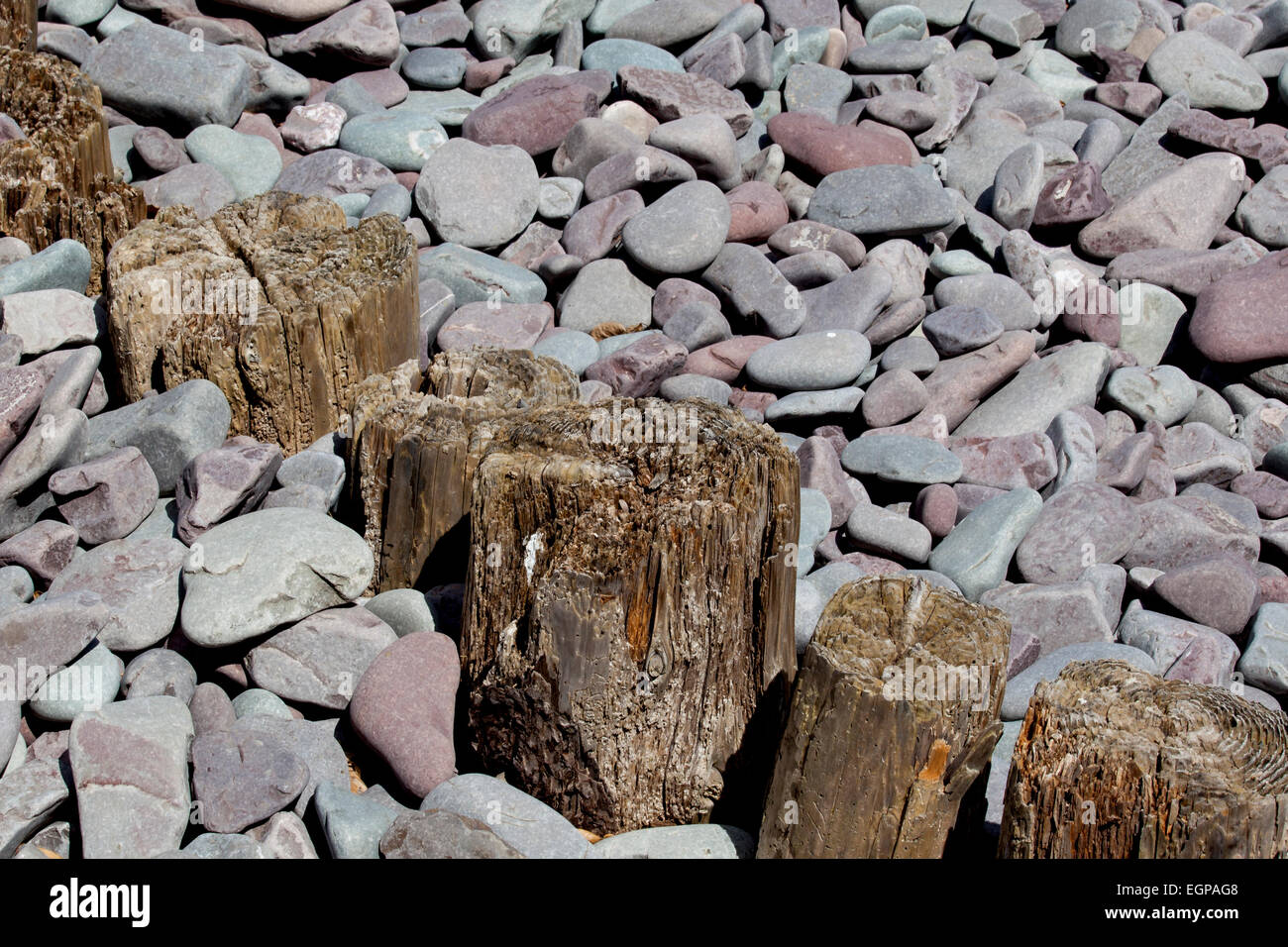 Timber groin hi-res stock photography and images - Alamy