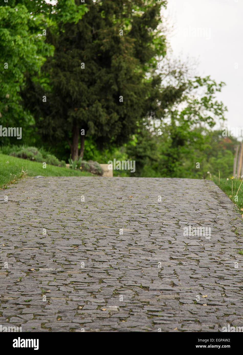 path into the distance, the park Stock Photo - Alamy