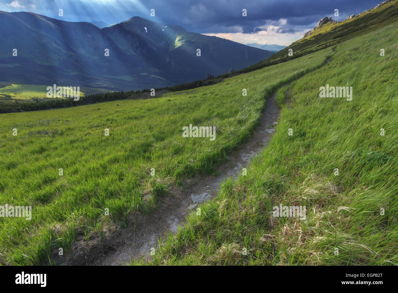 path in beautiful high mountain Stock Photo - Alamy