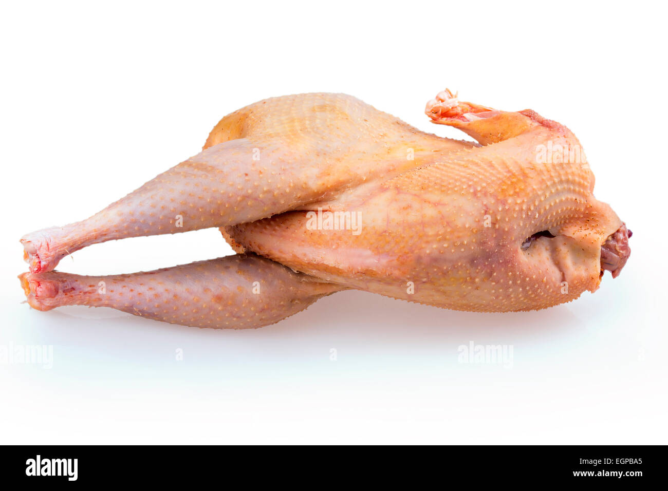chicken carcass isolated on white background Stock Photo - Alamy