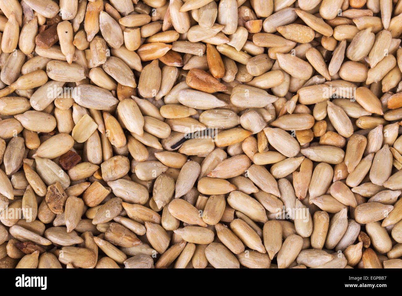 sunflower seed background Stock Photo - Alamy