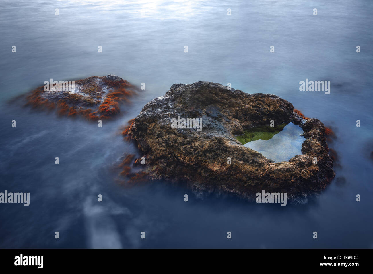 Sea moss hi-res stock photography and images - Alamy