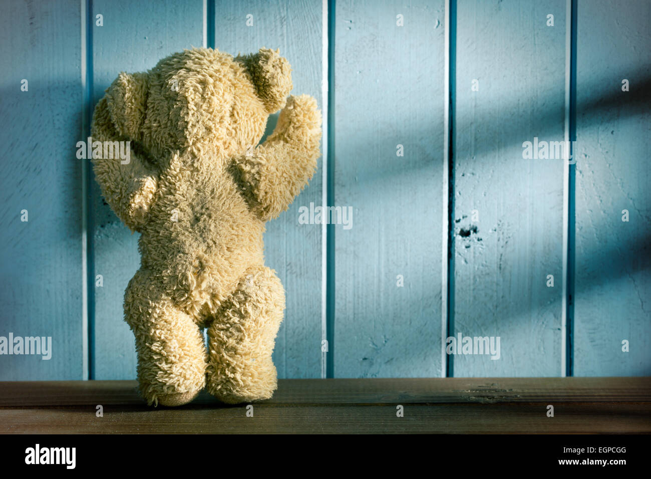 the teddy bear stands in front of a blue wall Stock Photo - Alamy