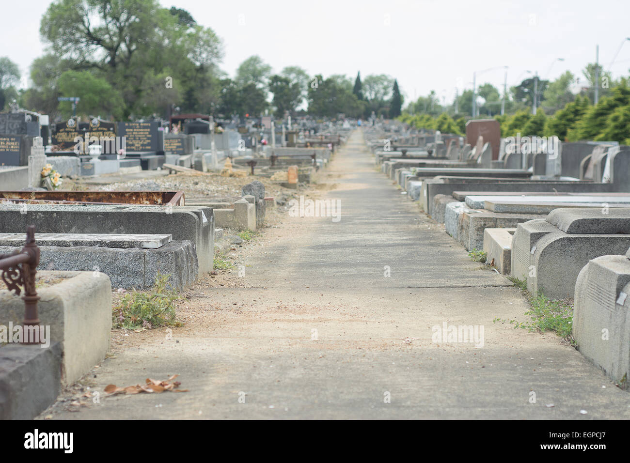 Melbourne general cemetery hi-res stock photography and images - Alamy