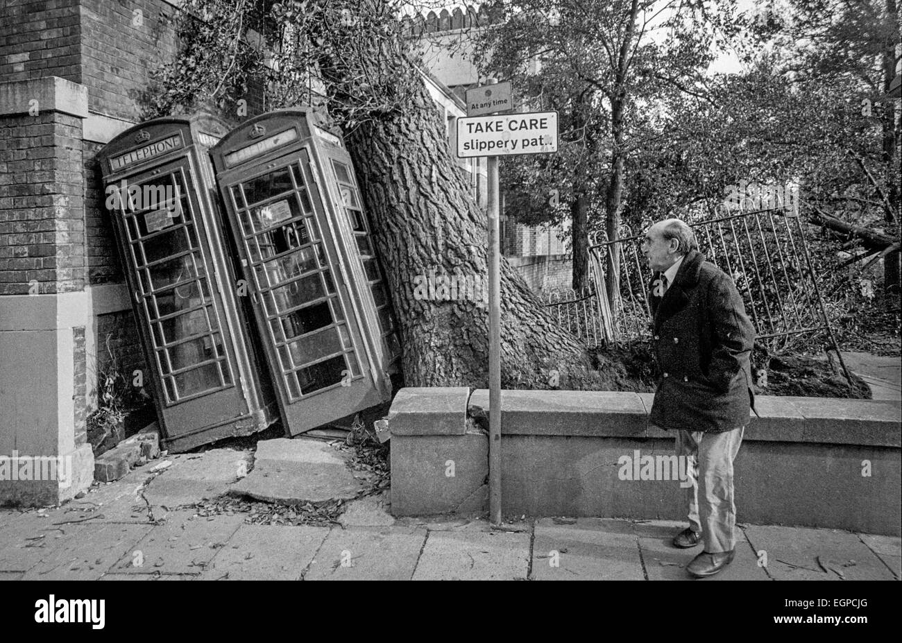 The day after the hurricane of 1987, in Brighton, East Sussex Stock ...