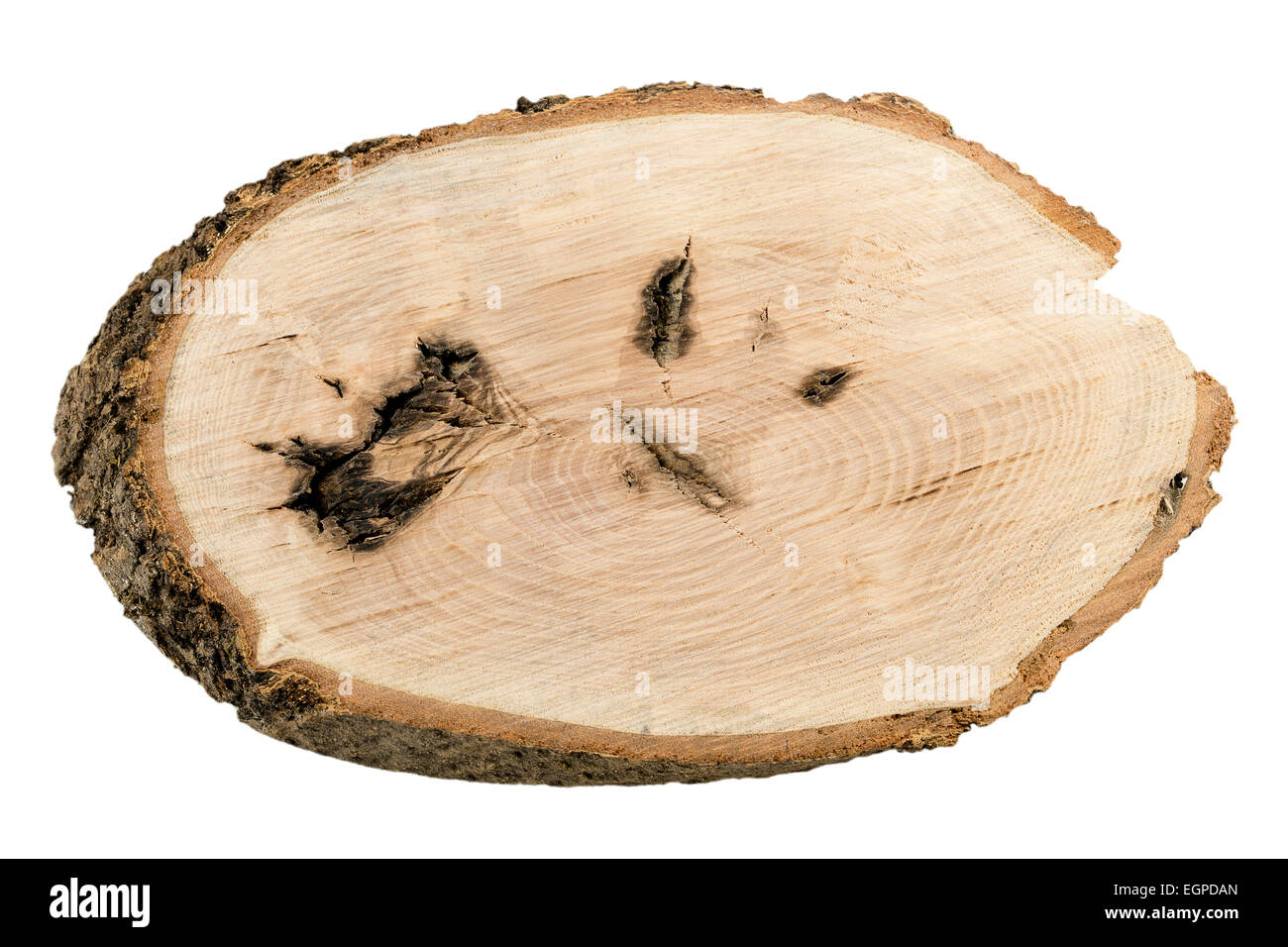 Abstract wood grain texture ring Cut Out Stock Images & Pictures - Alamy