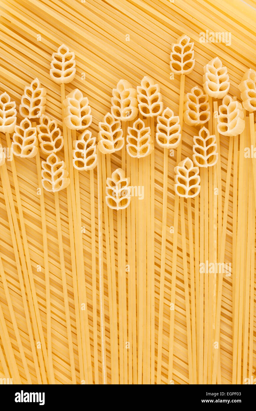 A field of wheat, pasta, conceptual image, the background Stock Photo ...