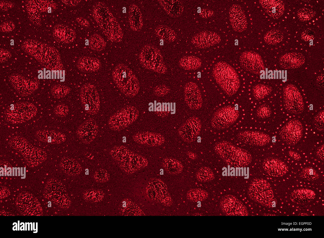Leather canvas and paint hi-res stock photography and images - Alamy