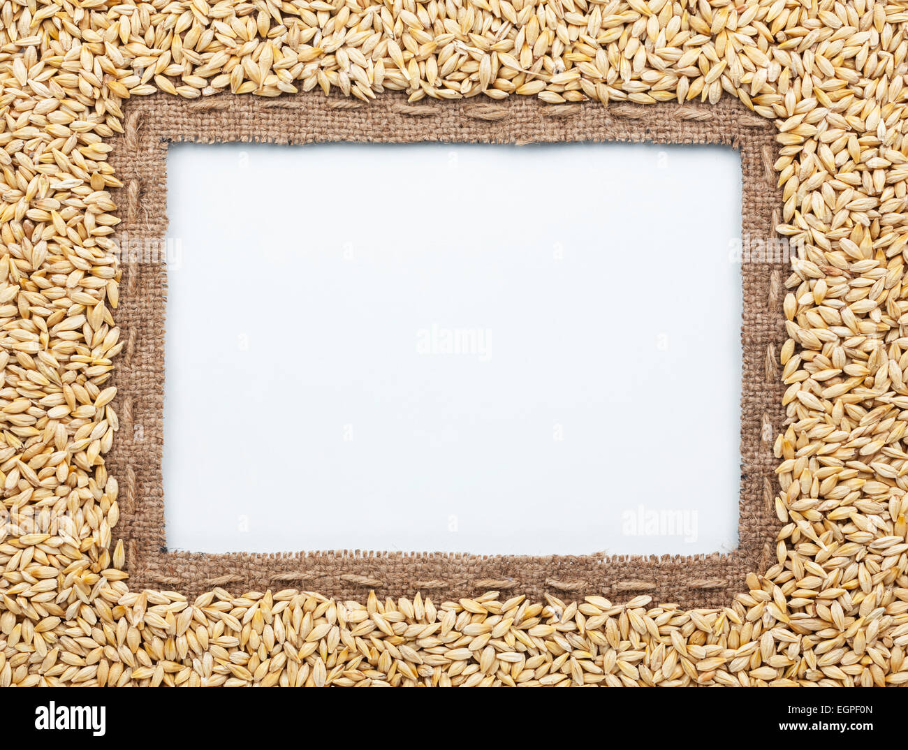 Frame of burlap and barley in beans, lying on a white background Stock ...