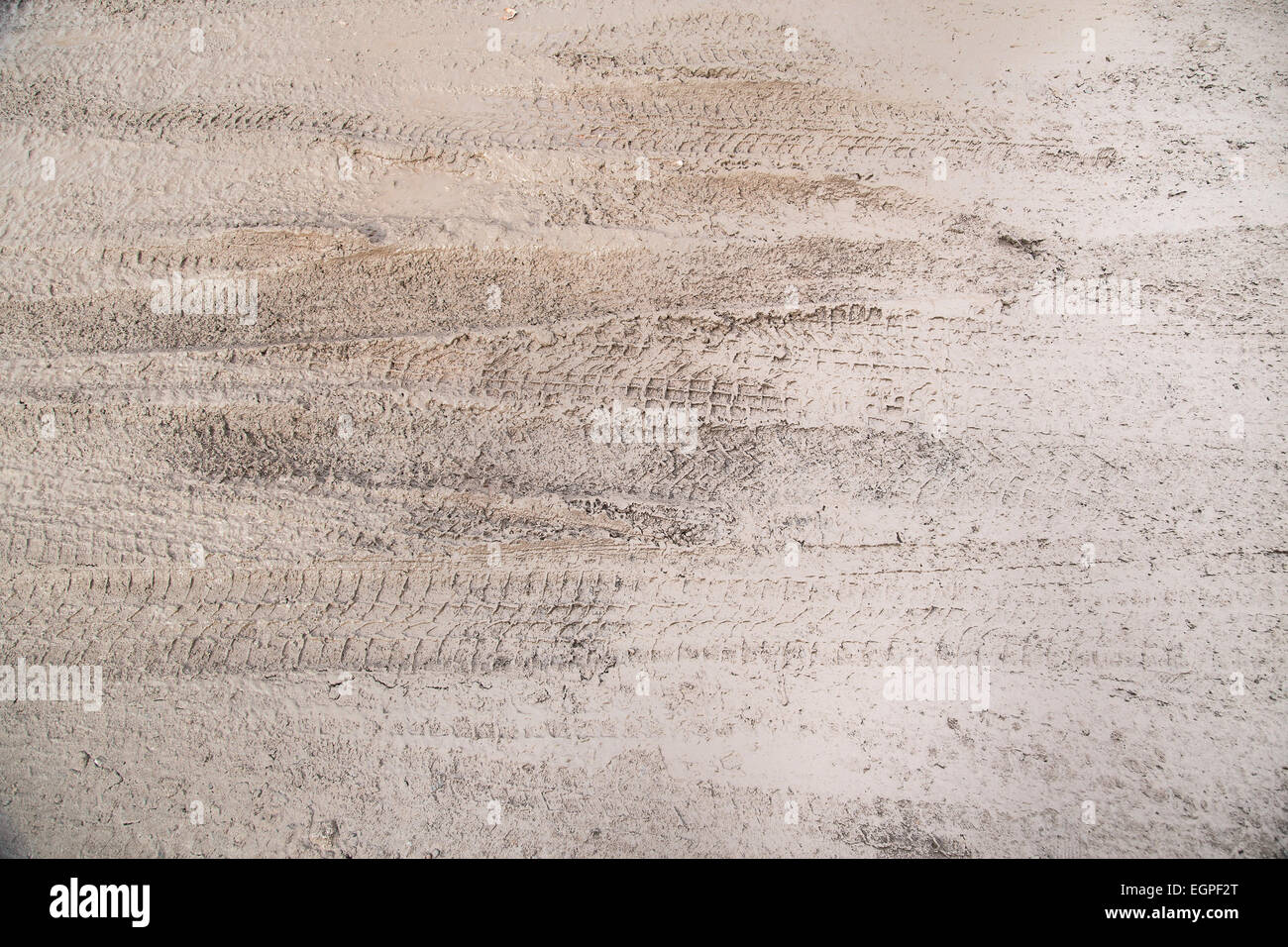 trail tread in the swamp, mud, wet ground Stock Photo - Alamy