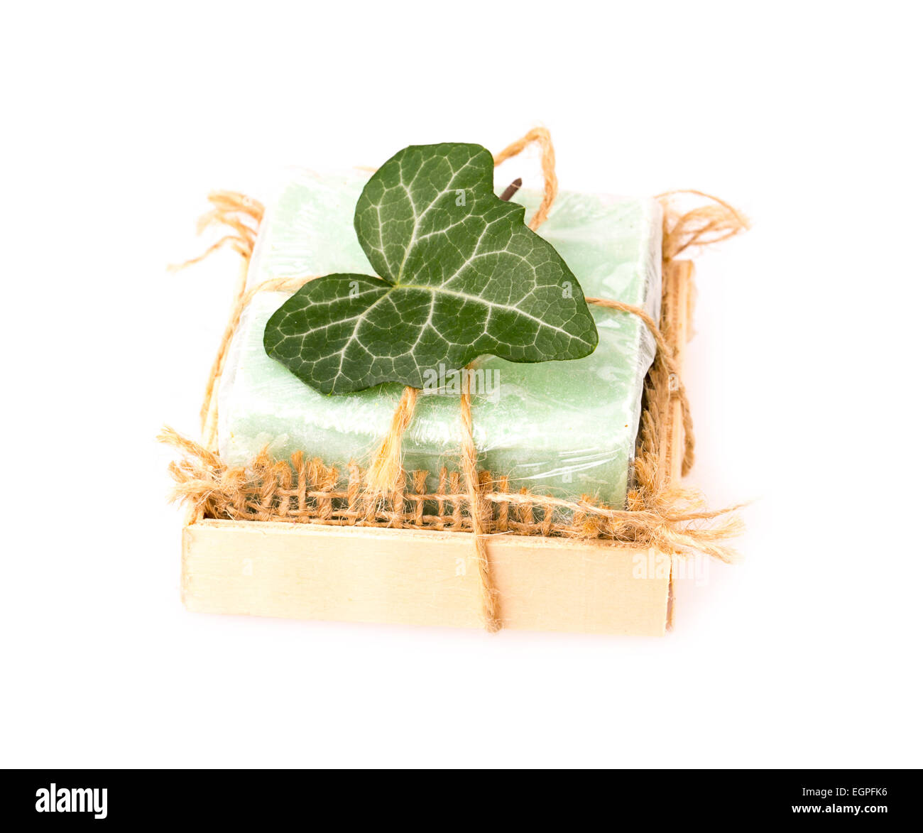 ivy leaf, soap isolated on white background Stock Photo - Alamy