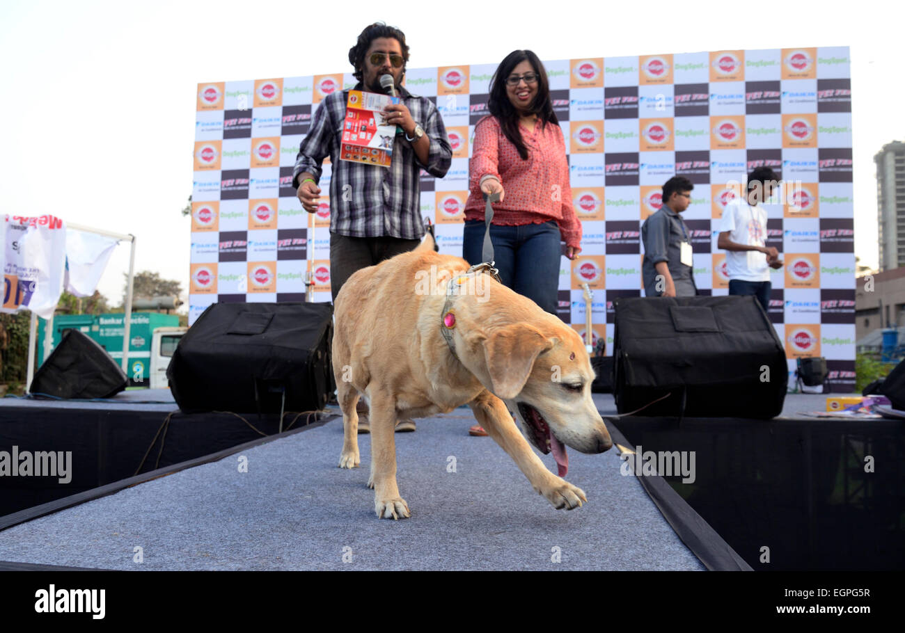 A woman with his pet on stage as they walk in the ramp in pet ...