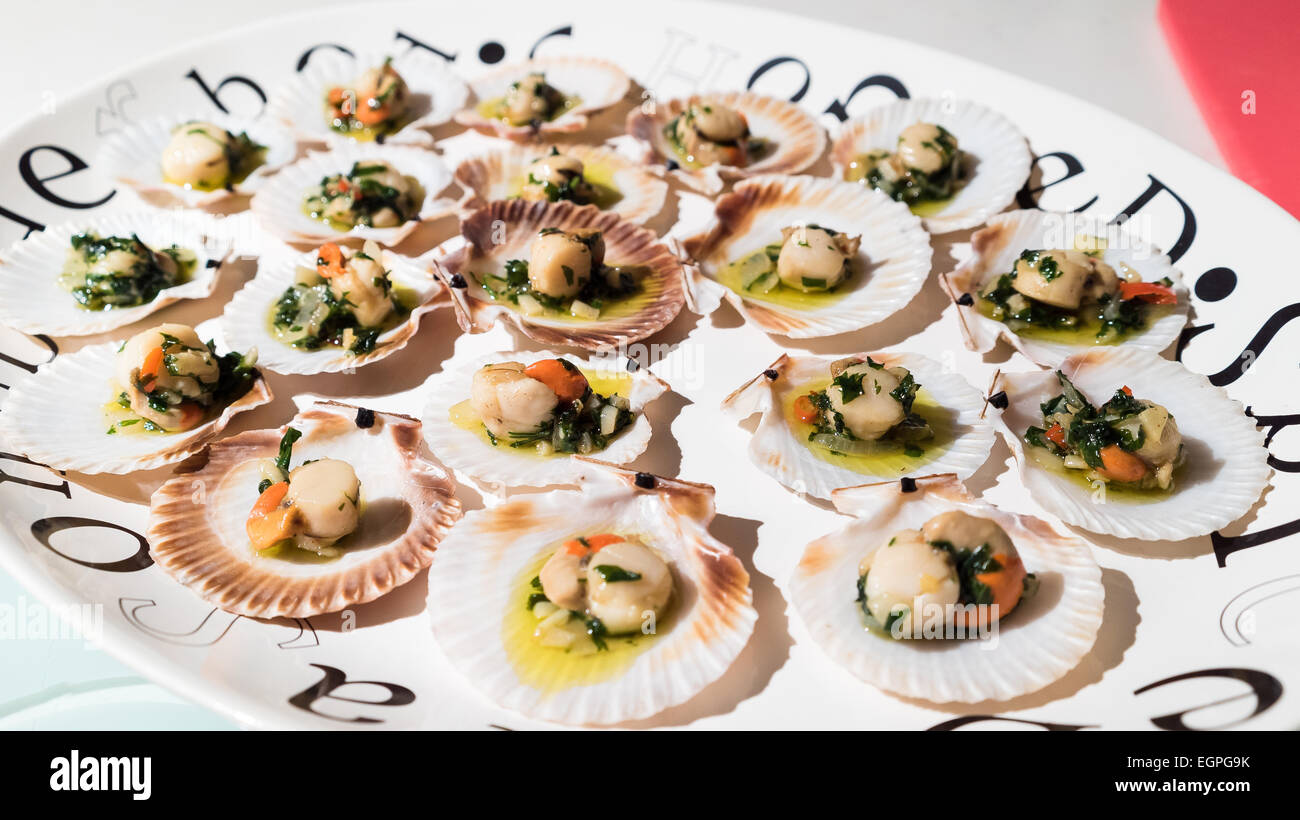 Scallops fish hi-res stock photography and images - Alamy